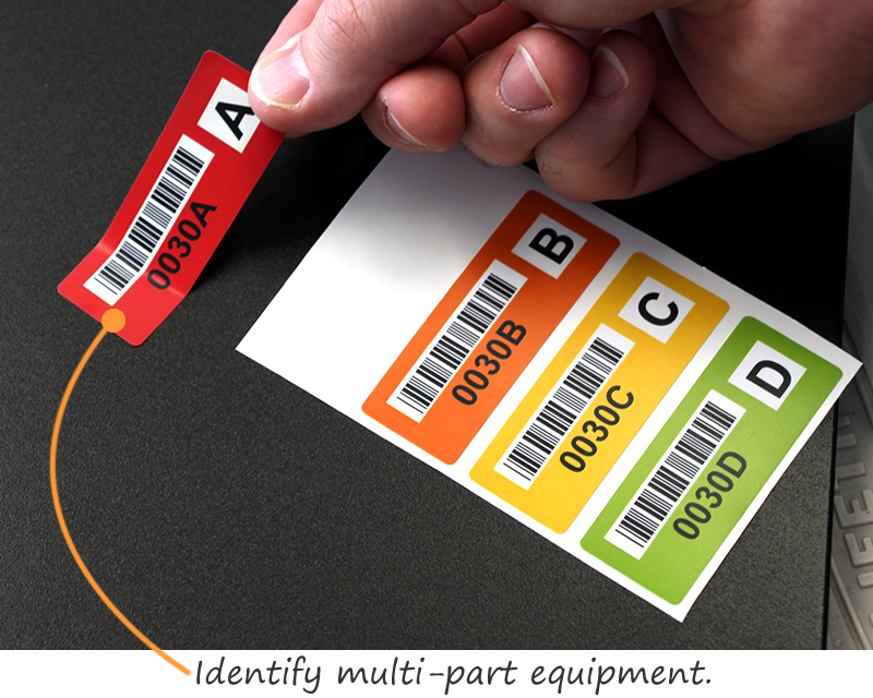 Multicolored / Multipart Labels